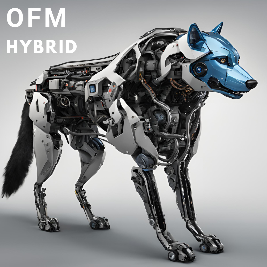 OFM Hybrid : Complete Guide - fakedash